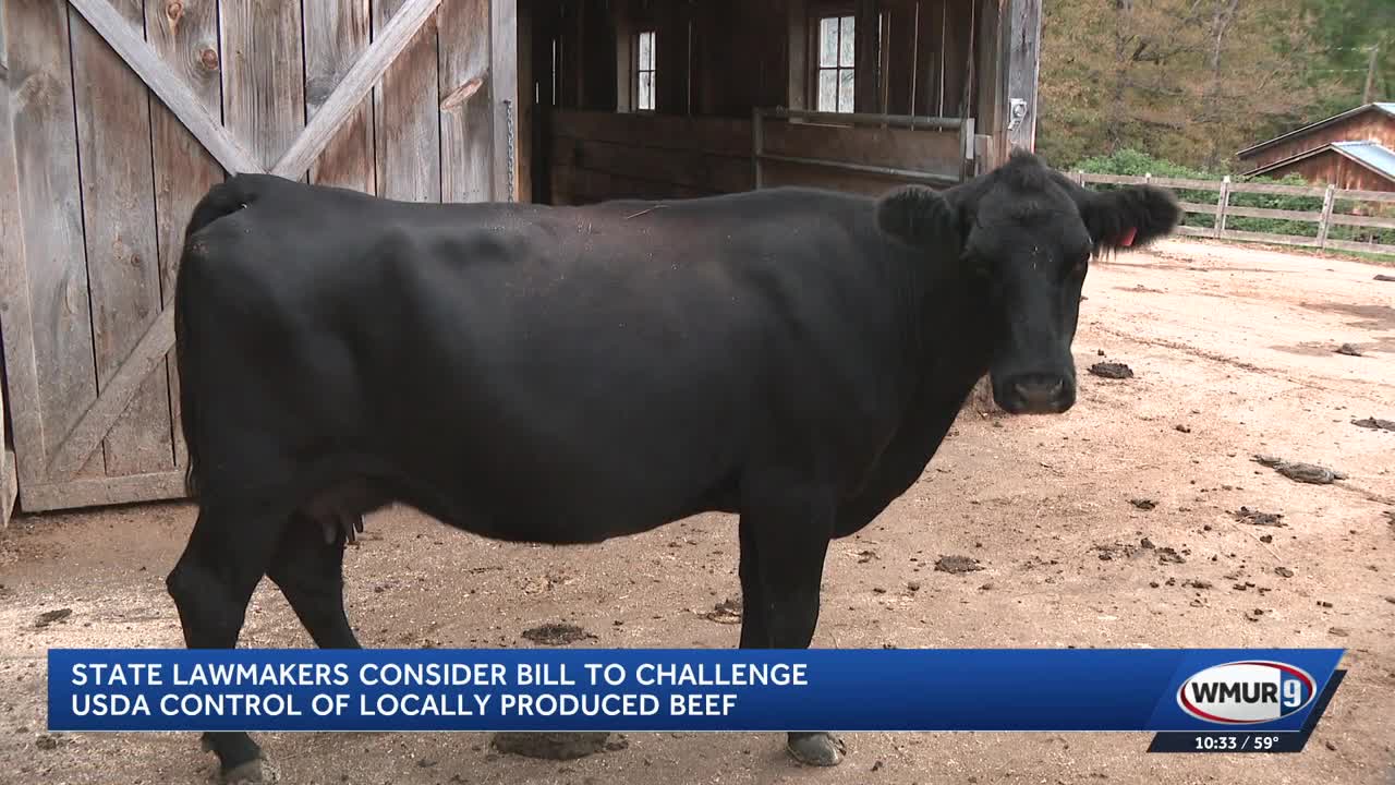 State lawmakers consider bill to challenge USDA control of locally ...
