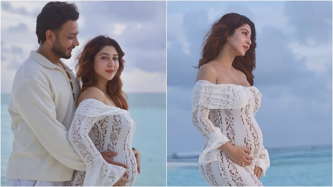 Devon Ke Dev... actor Sonarika Bhadoria, husband Vikas Parashar announce pregnancy