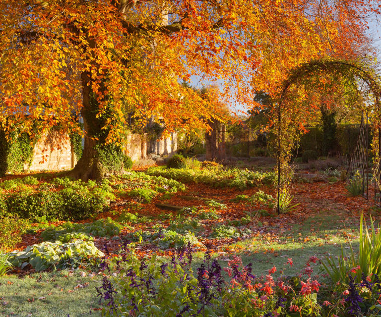 Gardeners urged never to do these 5 things during a false fall – or ...