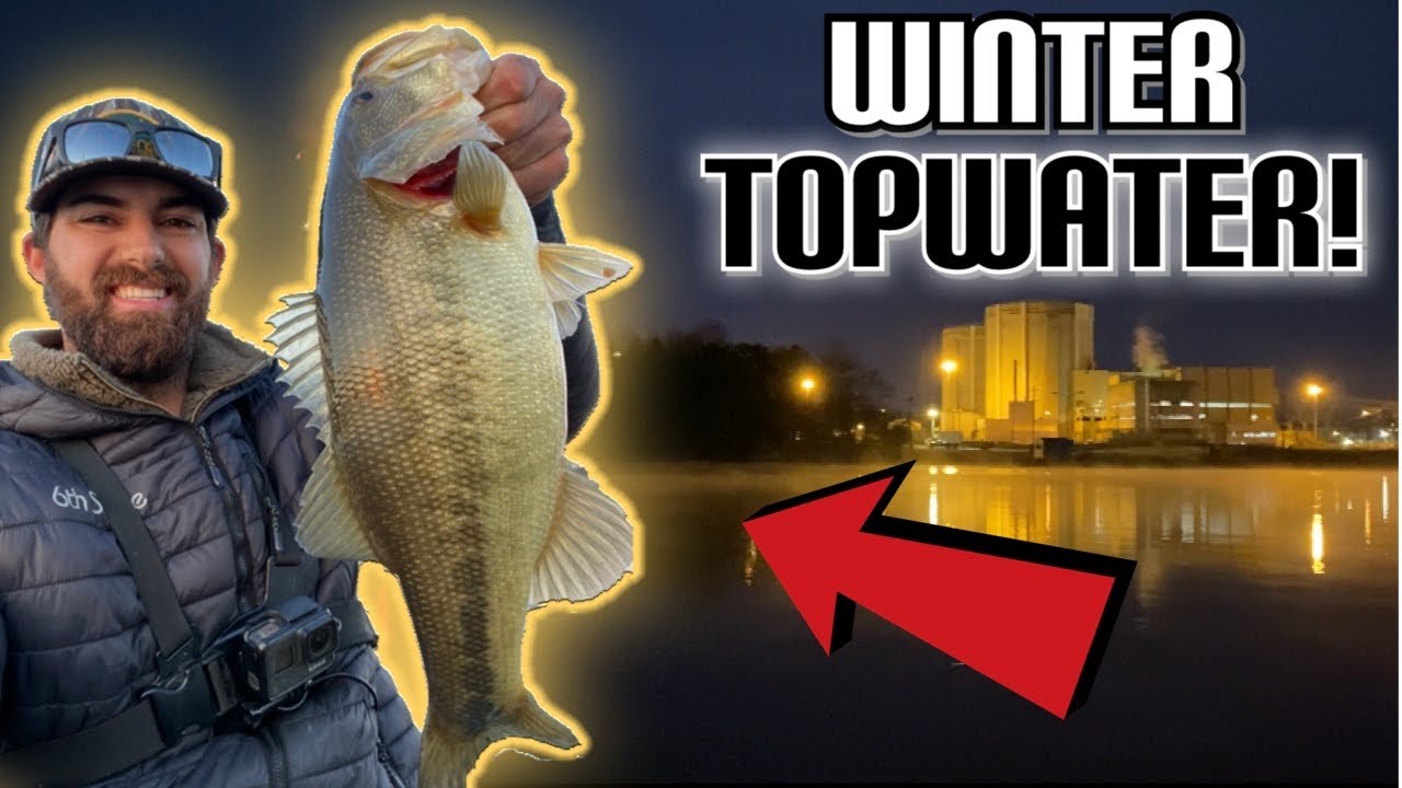 Big bass destroys topwater fishing lure successfully