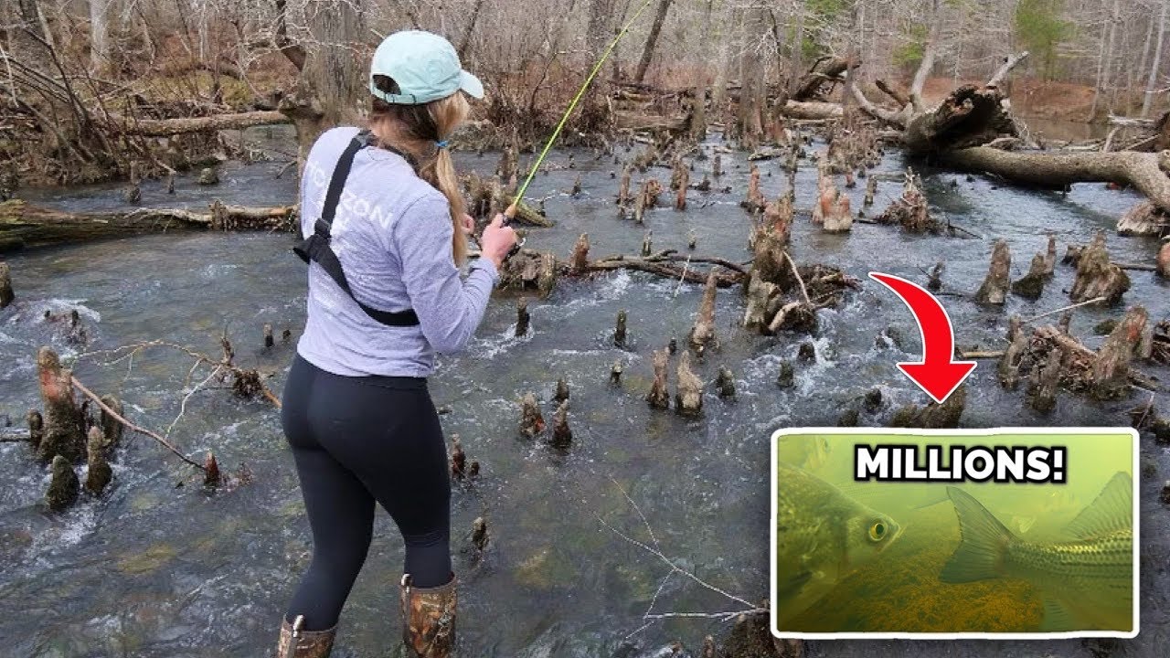Hidden river found with millions of crazy fish adventure