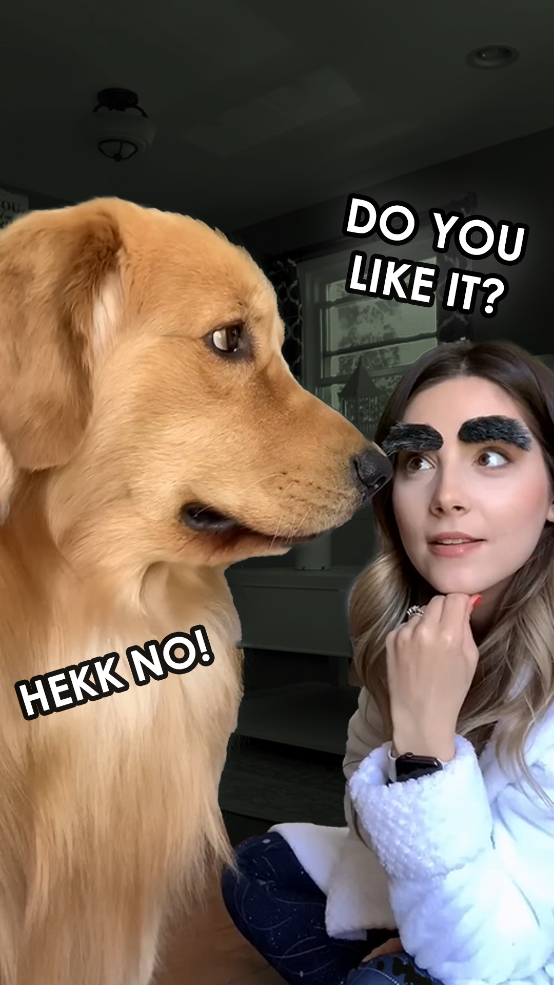 Dog’s Reaction to Quarantine Eyebrows