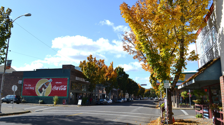 Minnesota's 'New England Of The West' Is A Twin Cities Suburb With A ...