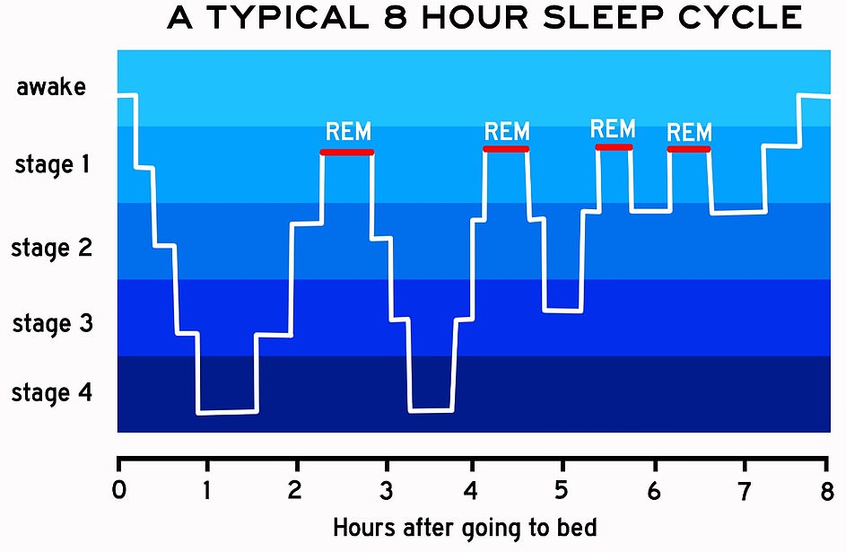 Experts reveal how many hours of sleep a healthy adult needs
