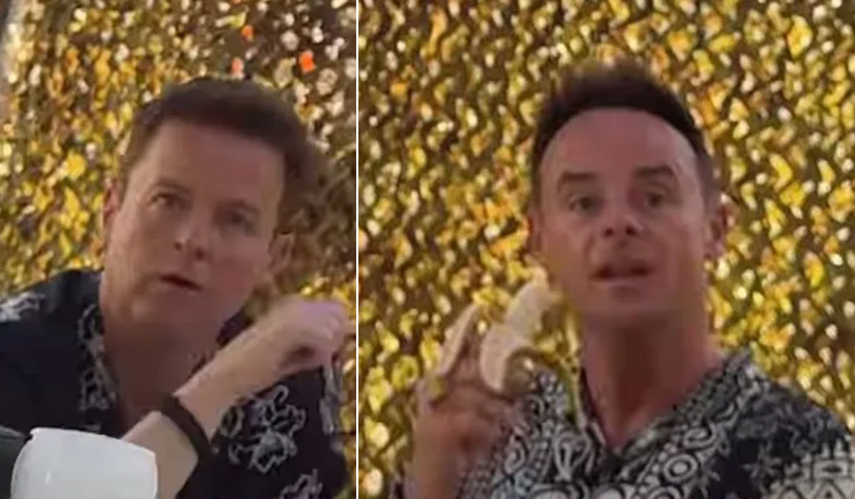 Ant and Dec send pep talk to fictional character after falling for ...