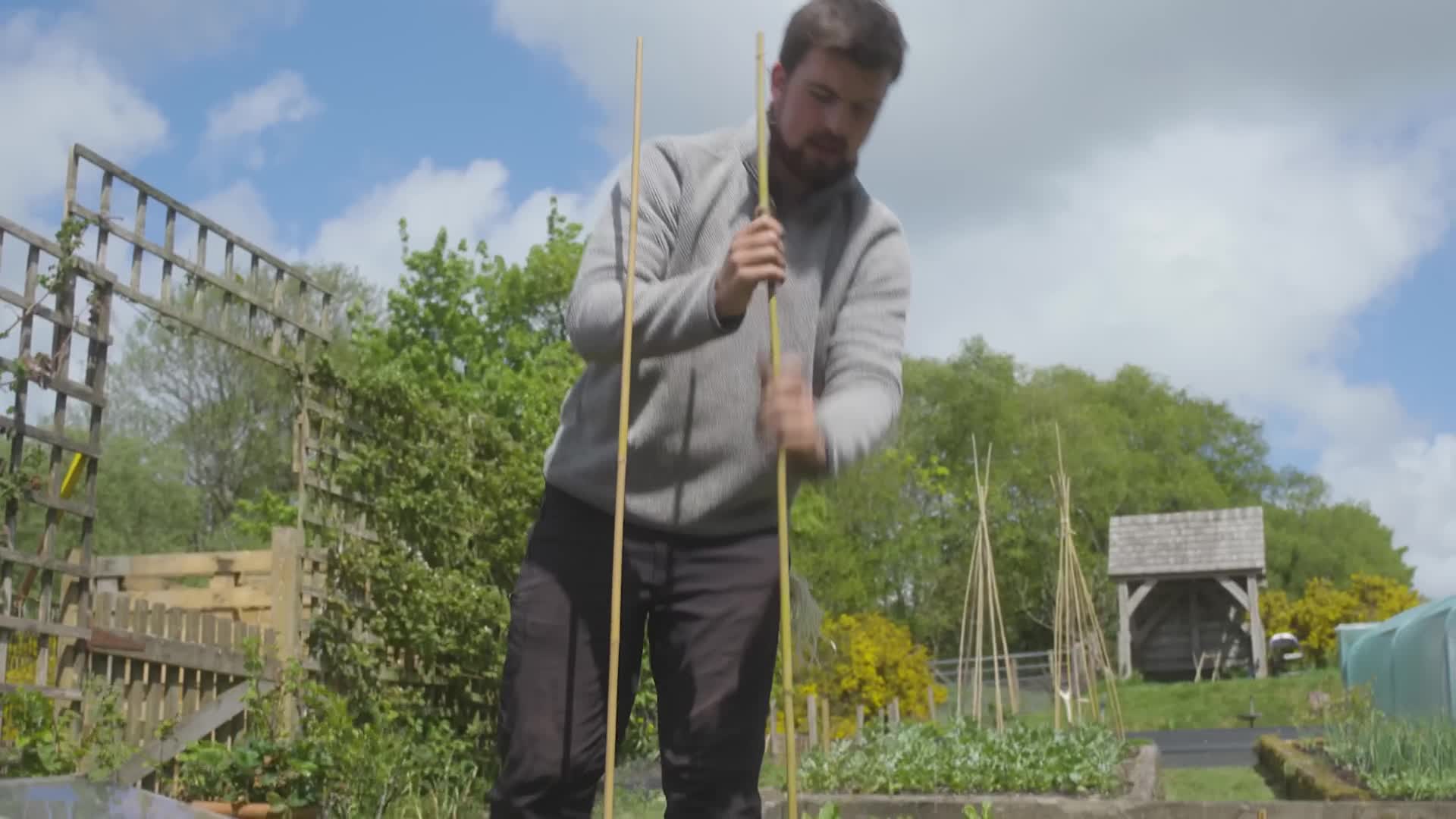 Simple steps to growing peas