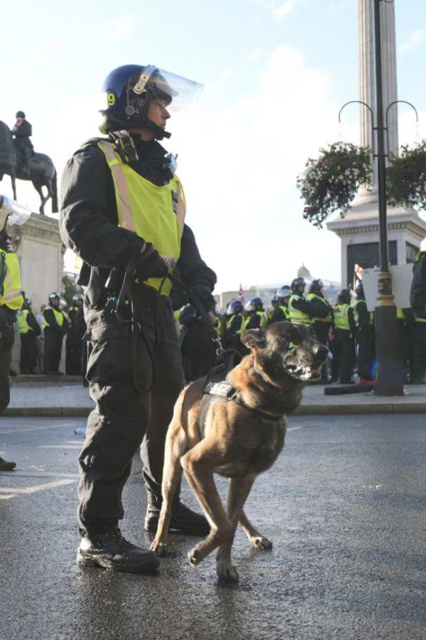 London’s largest far-right rally in years: 150,000 protesters, 26 cops ...