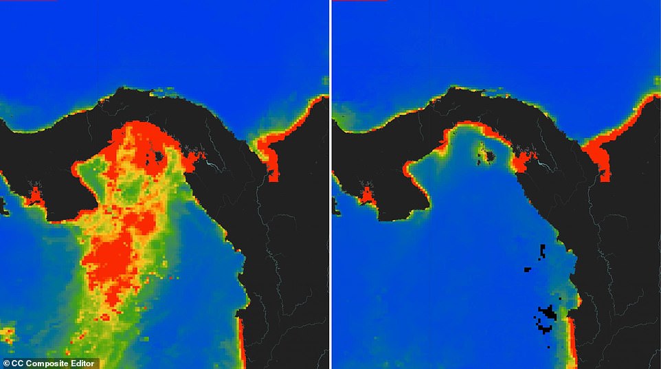 Vital ocean upwelling fails to emerge for the first time on record