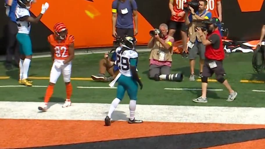Fan Throws Adult Object Onto Field After Bengals WR Makes Incredible ...