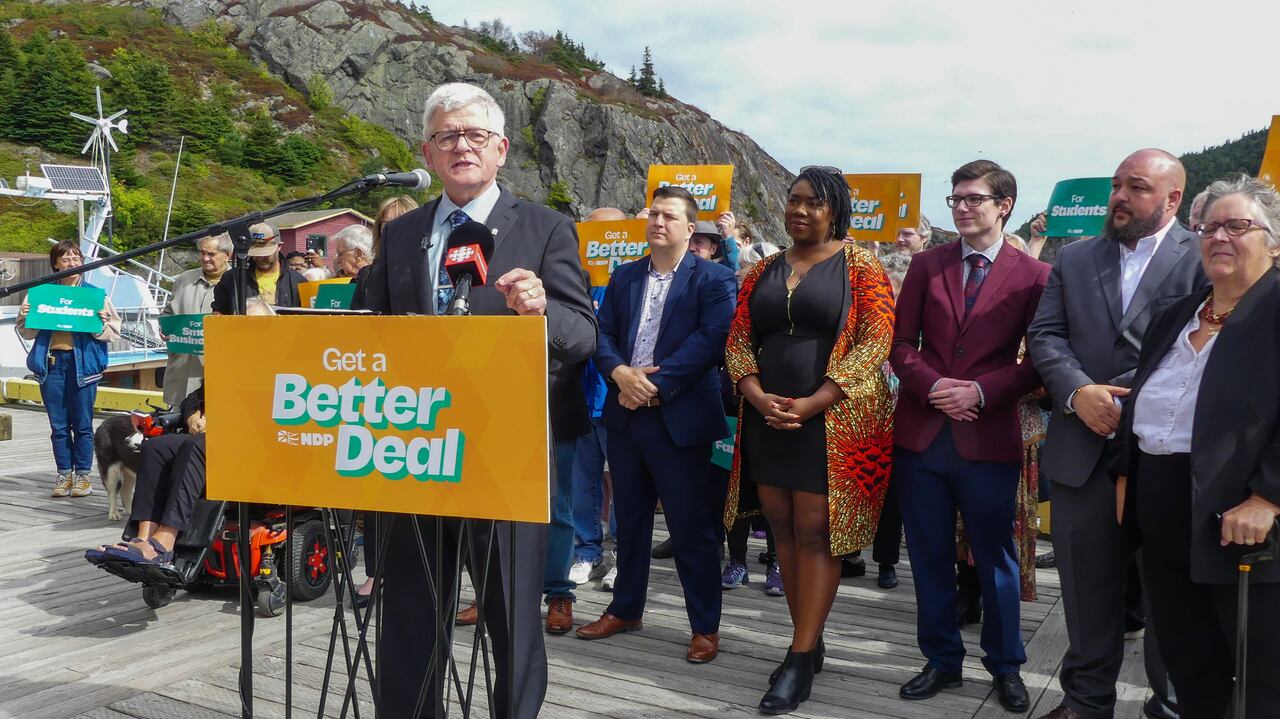 N.L. NDP launch campaign ahead of official provincial election call