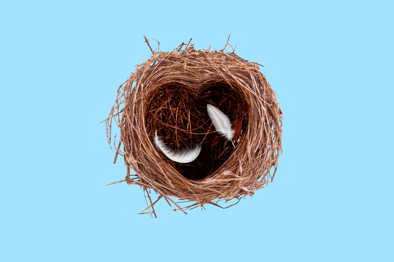 The College Drop-Off Is Done and the Nest Is Empty. Now What?