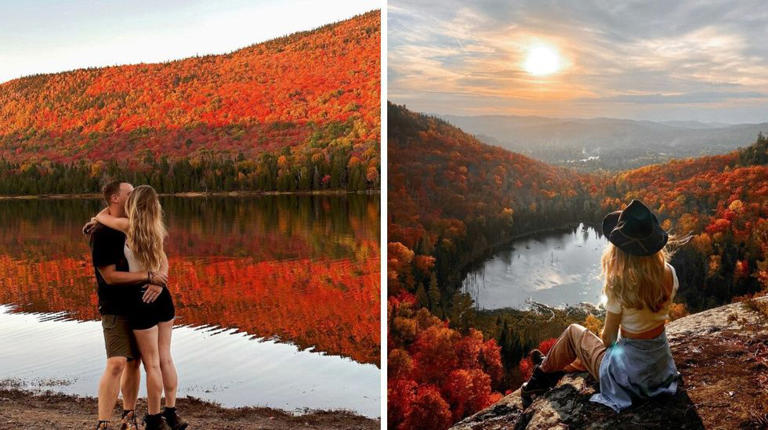 Cette carte te montre quand et où les couleurs d'automne sont les plus ...