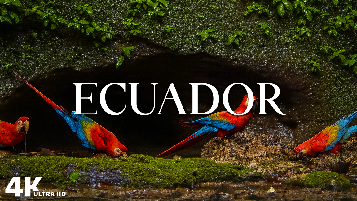 Ecuador desde el aire: Andes, Amazonía y costas en 4K