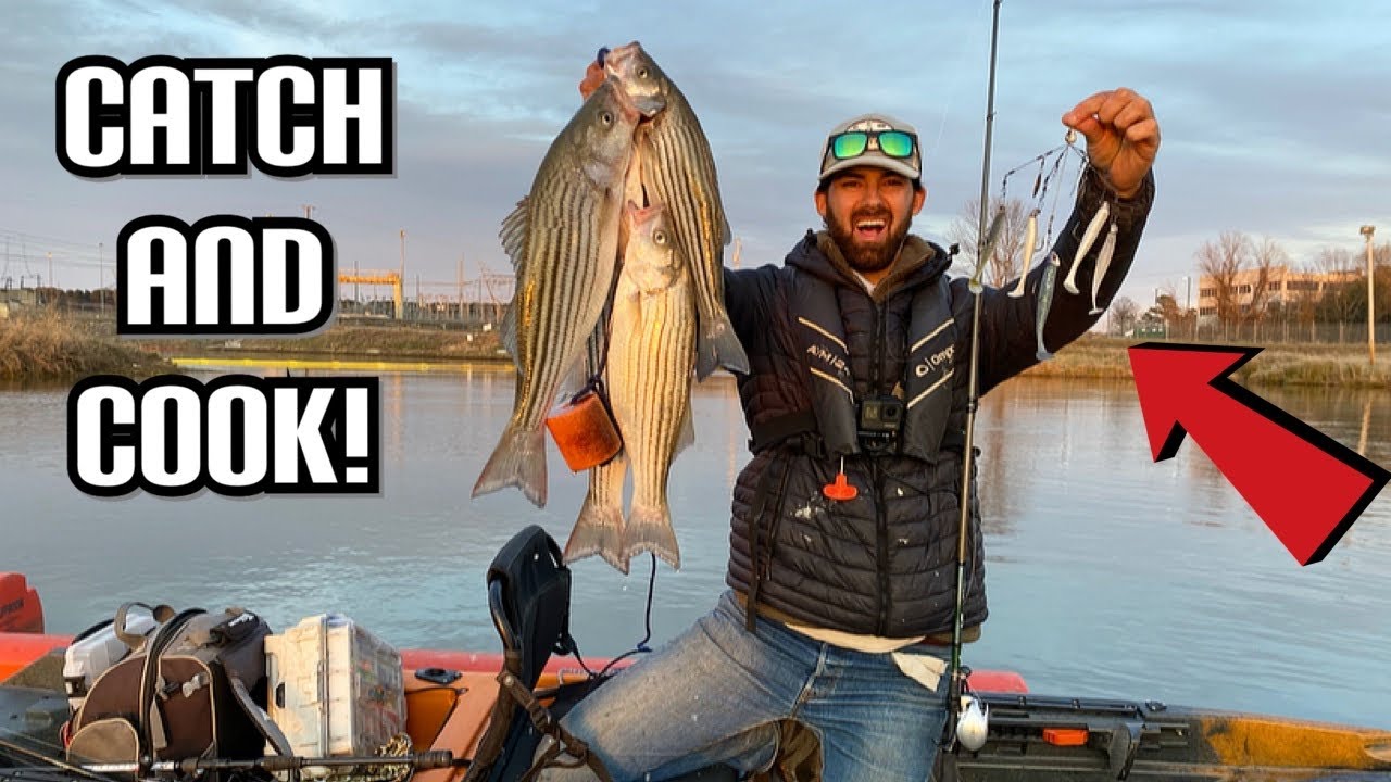 Striped Bass Cooking and Catching Adventure With A-Rigs