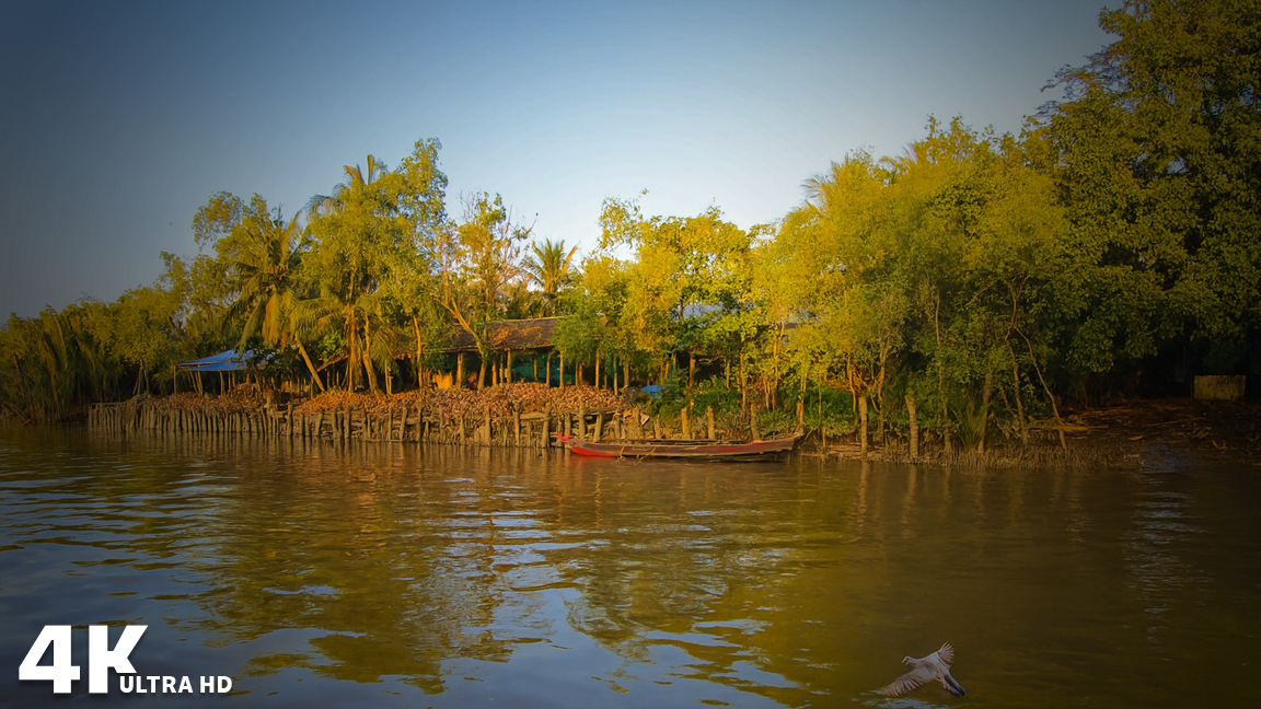 Mekong Delta Boat Tour – Hàm Luông River Cruise, Vietnam (4K)