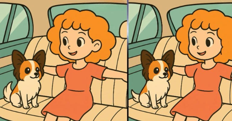 Spot the 3 Differences in Girl Travelling With Her Dog Beat the 51 ...