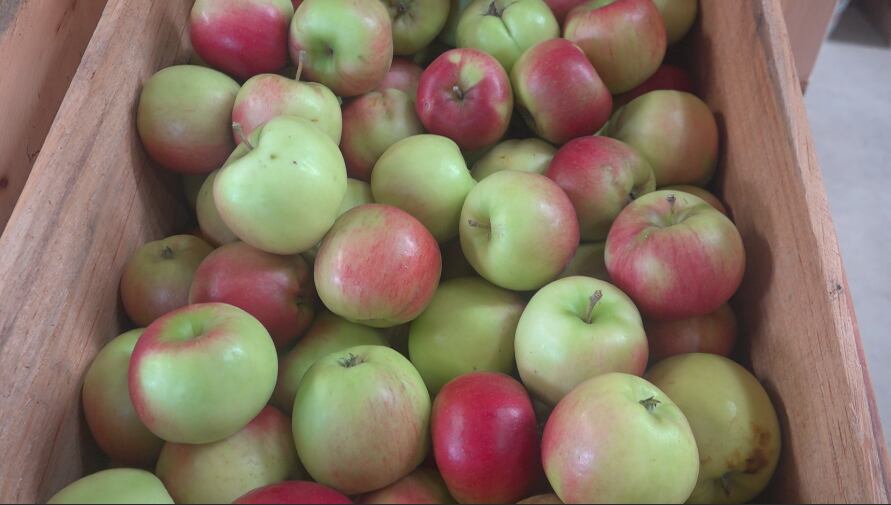 More than a dozen Maine orchards to celebrate Maine Apple Sunday, Sept. 14