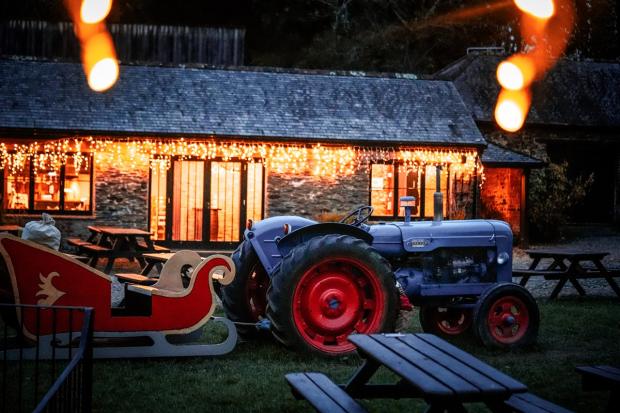 Cornish farm to transform into winter wonderland this Christmas