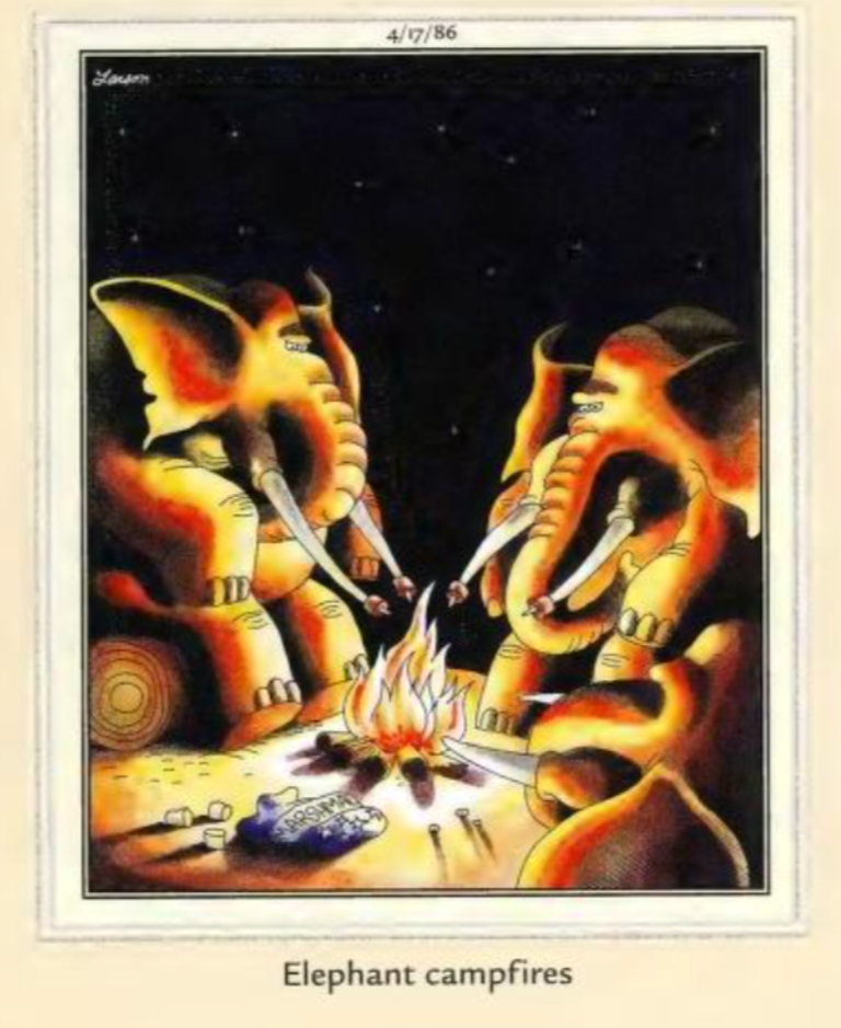 10 Funniest The Far Side Comics Set Around a Campfire, Ranked