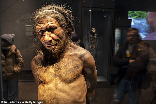 If evolution is real, why are there still monkeys? Scientists reveal ...