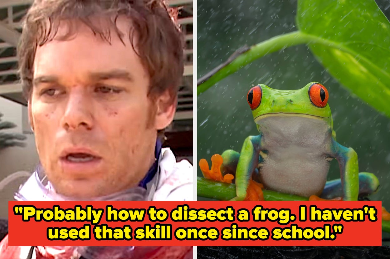 People Are Sharing The “Useless” Things They Learned In School That ...