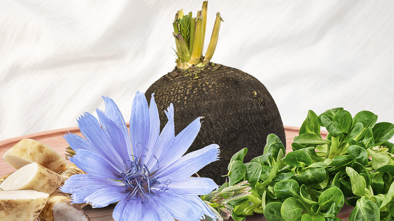 15 Vegetables People Don't Really Eat Anymore