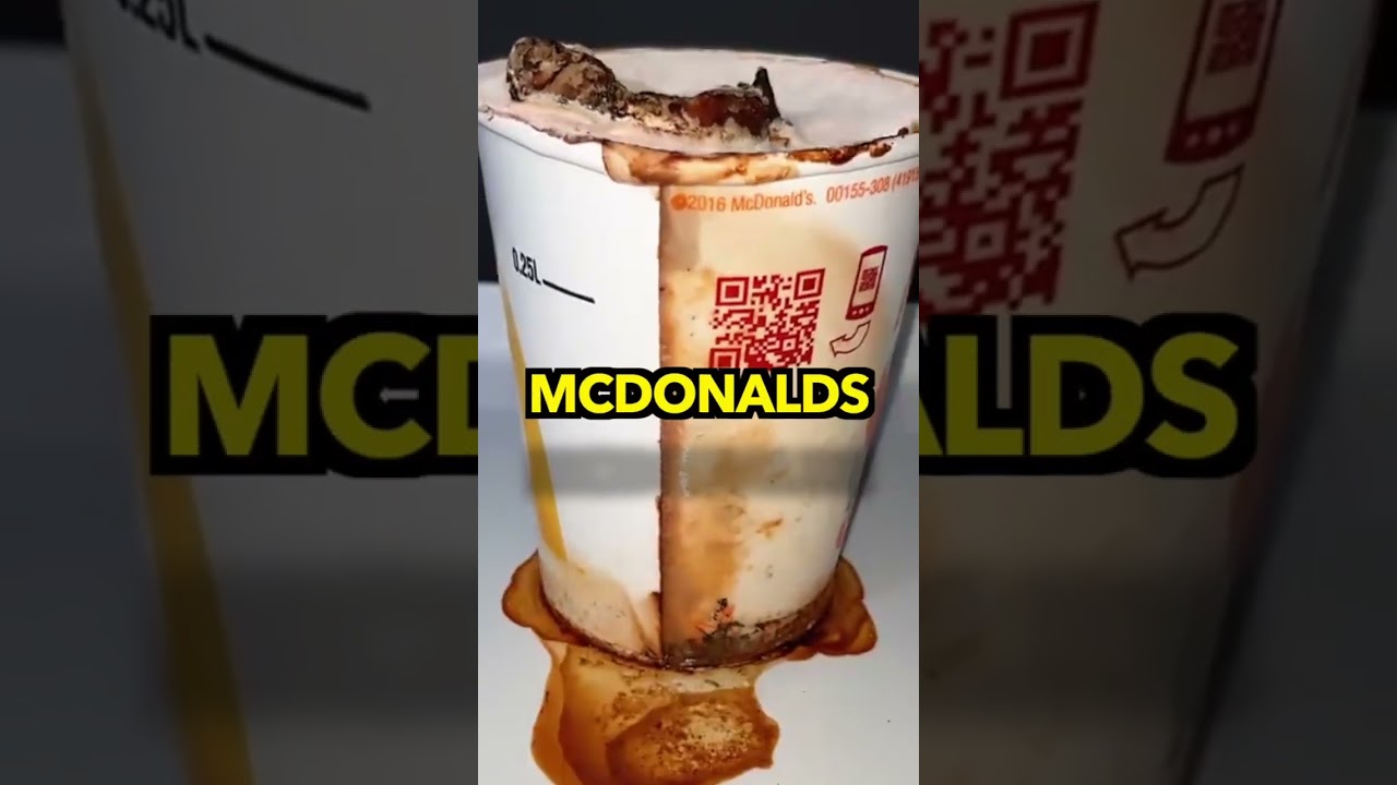 Discover how long a paper cup actually lasts under typical conditions