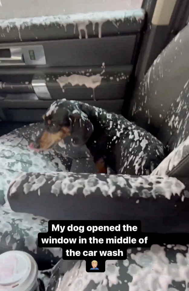 19 Poor, Poor Souls Who Thought “Hey, What’s The Worst That Could ...
