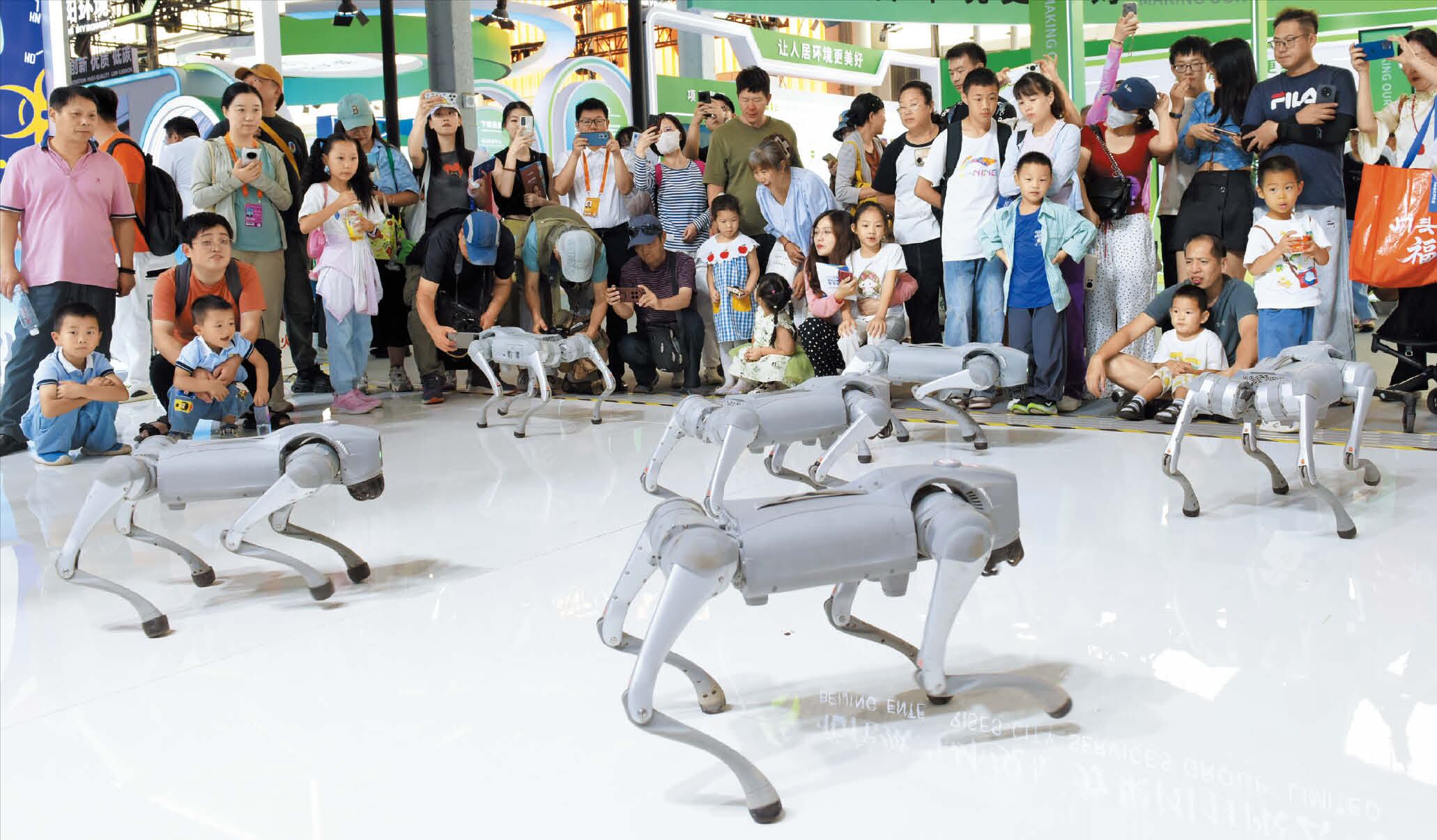 Robot dogs perform at Beijing CIFTIS fair