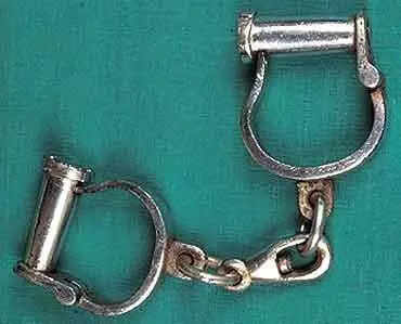 Day After Ghatkopar Accident In Mumbai Drunk Driver Her Two Friends