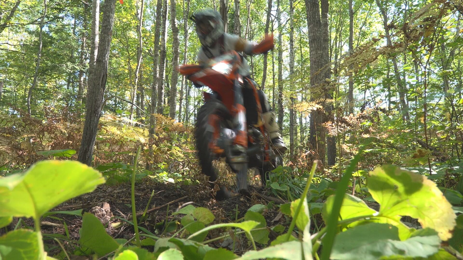 Loose Moose riders take on sand, wooded trails