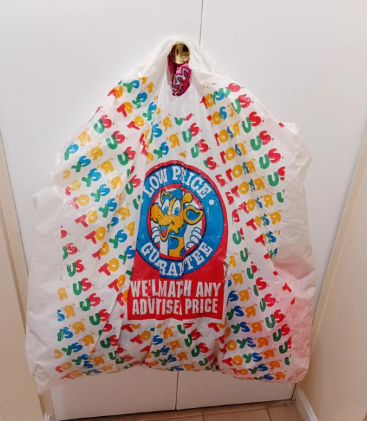 40 Things Literally Every Millennial Had In Their Parents' House ...