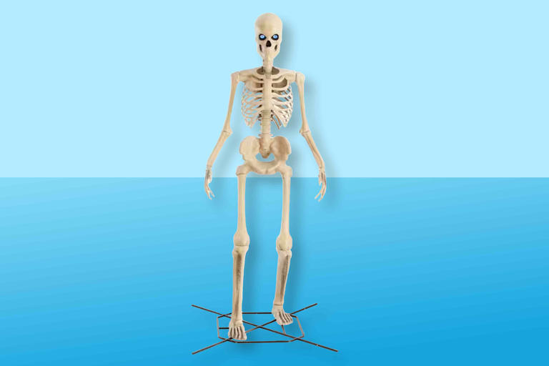 Skelly Is Back! Snag The Home Depot’s Best-Selling Giant Skeleton While ...