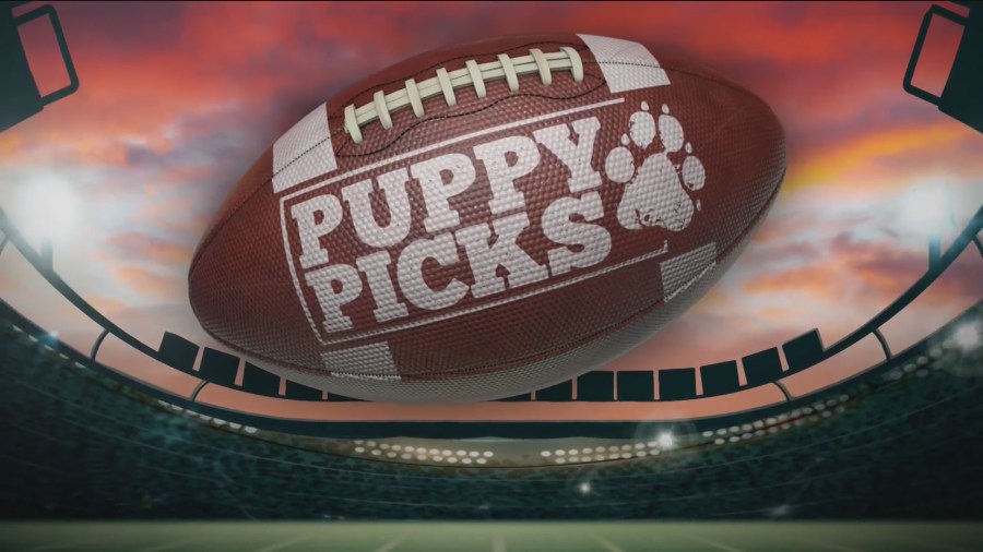 Puppy picks 2025: Easy Cheesy picks Ravens vs. Steelers