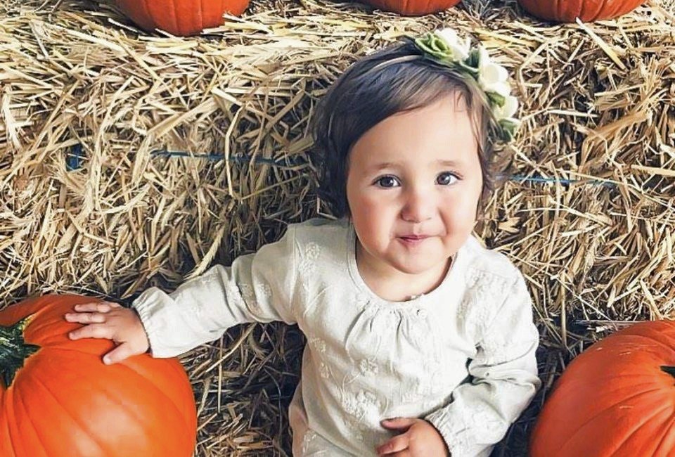 Best Pumpkin Patches Near Boston for Families in 2025
