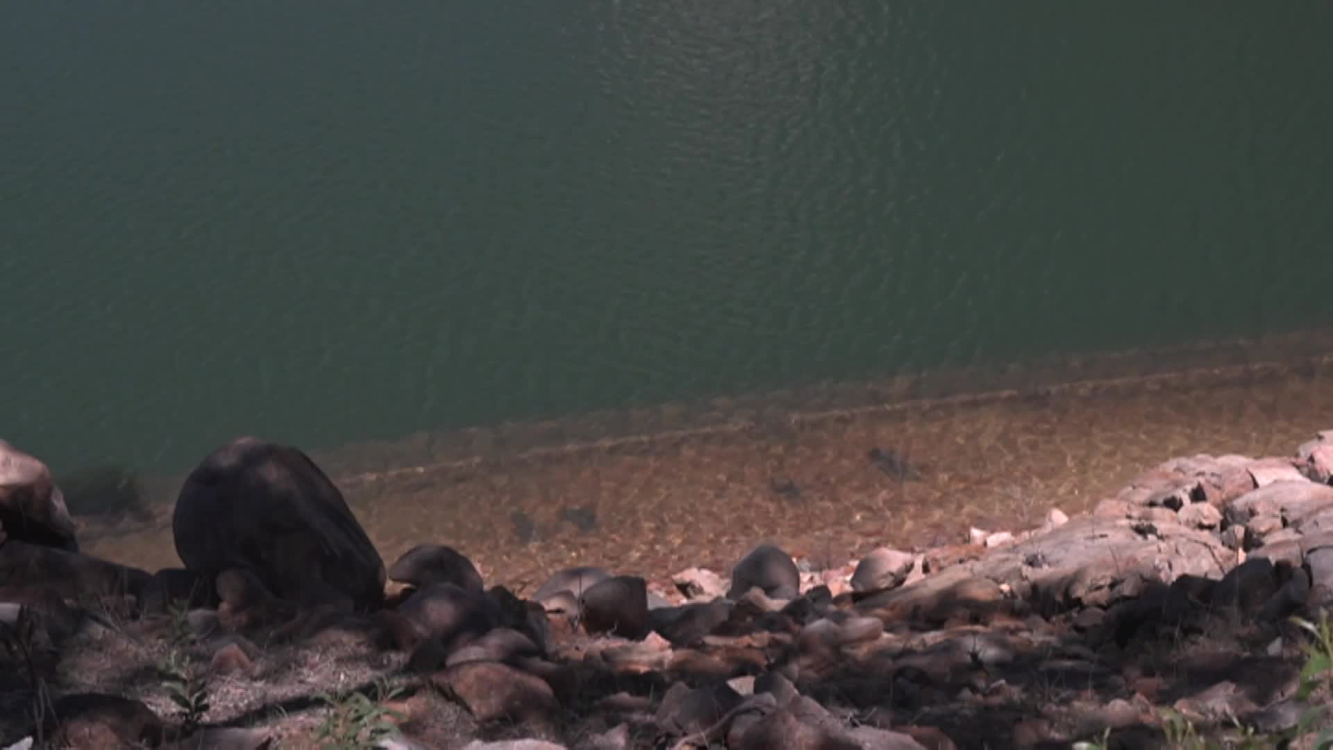 Majoy drinking water dam in Western Australia far from full despite ...
