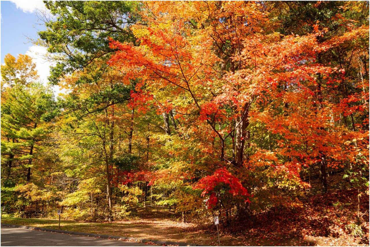 CT region makes nationwide Travel + Leisure list of 'stunning' fall ...