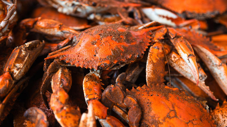 The 'Crab Capital Of The World' Is A Wildly Underrated Maryland Fishing ...