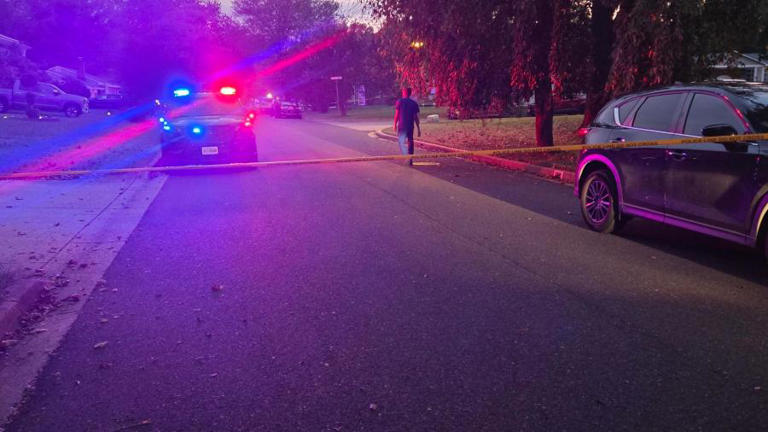 Police searching for woman suspected of killing grandmother in Prince ...