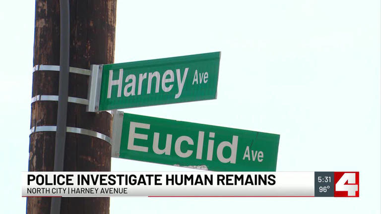 Human remains found in North City on Sunday afternoon