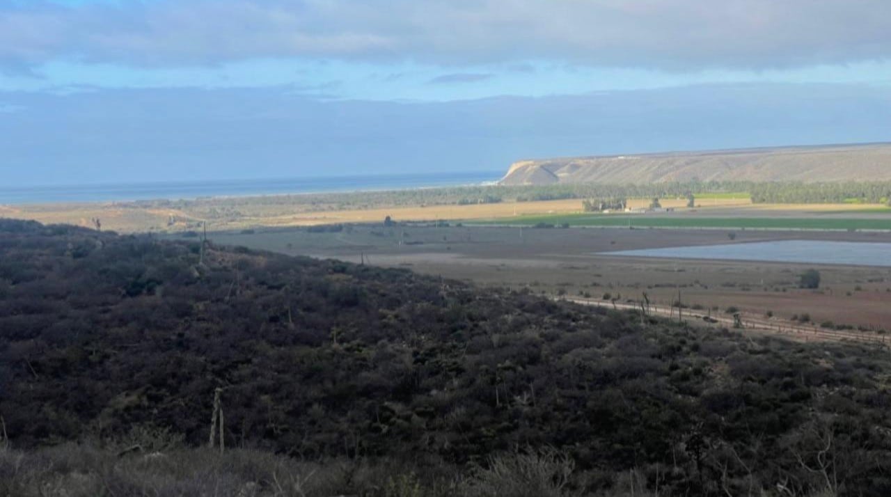 Estiman tarde proyecto de Punta Colonet más de 10 años en construirse