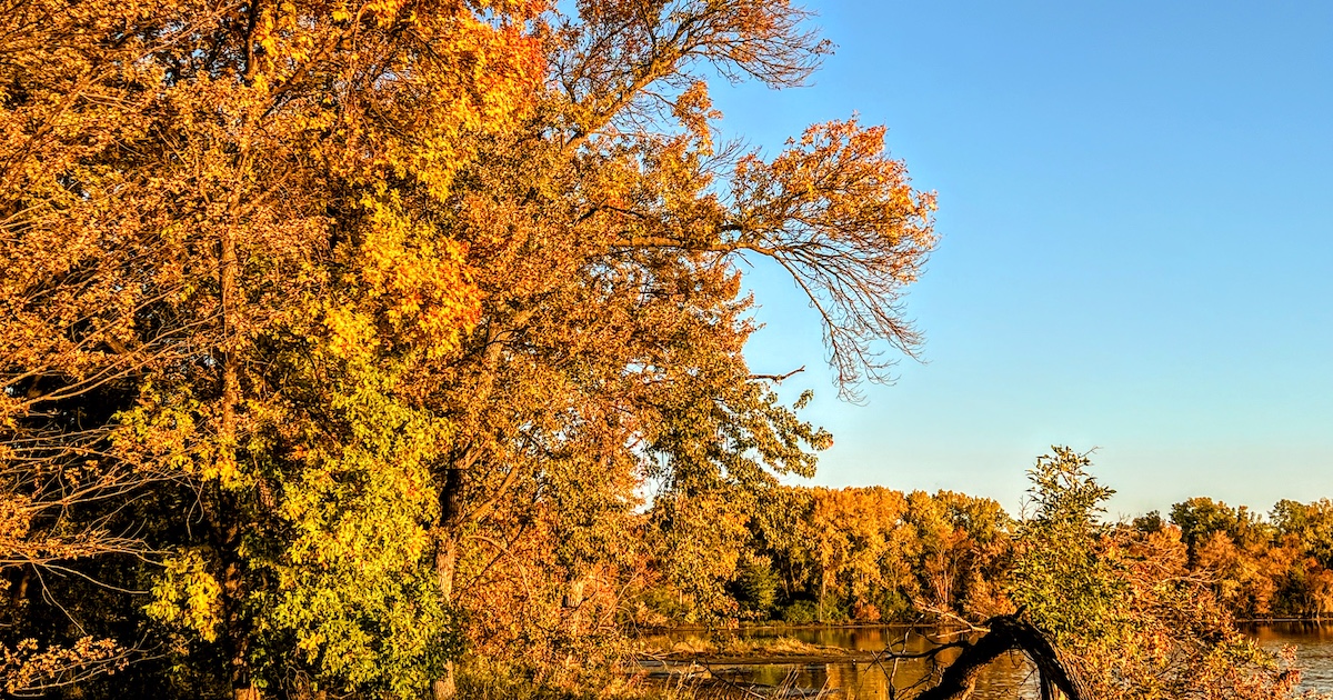Here Are the Best Times and Places to View Wisconsin's Fall Foliage in 2025