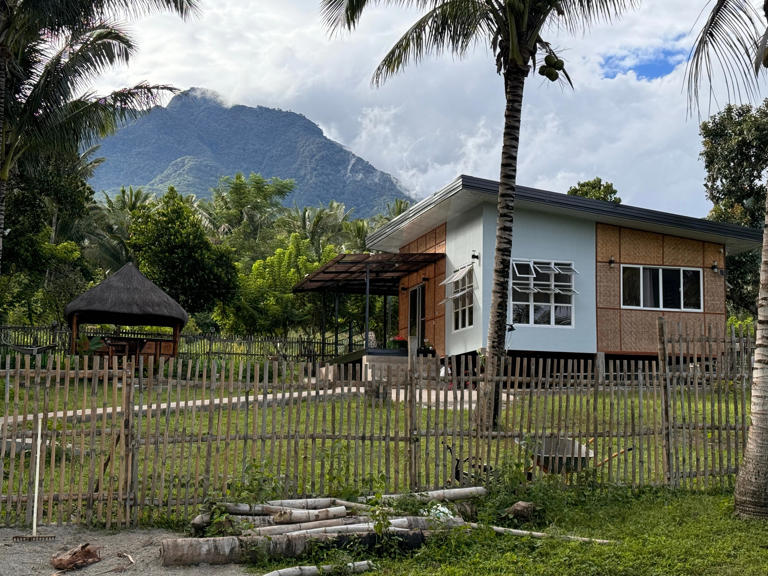 They hadn't planned on buying property. Then came kids and a tiny house ...