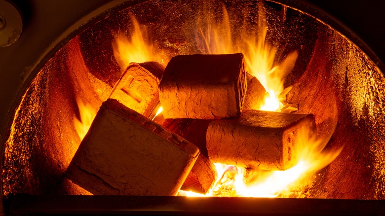 The Best Types Of Wood To Use For Smoking And Grilling