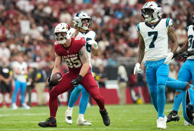 Panthers fall short against Cardinals: Top highlights from the crushing ...