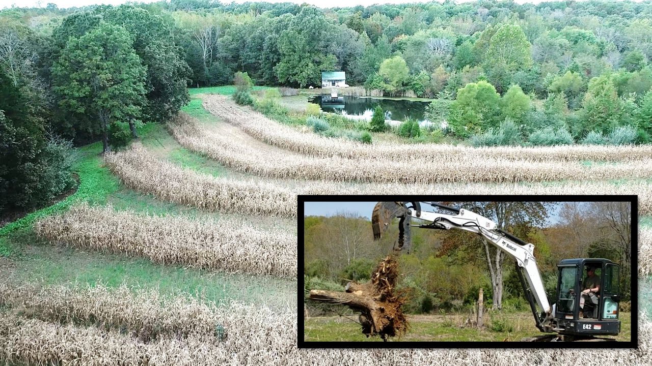 Southern Illinois Hunting Land Drone Tour | Incredible Land Management ...