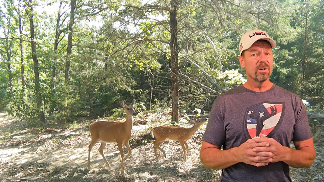Big Velvet Bucks Caught on Trail Cam in Missouri