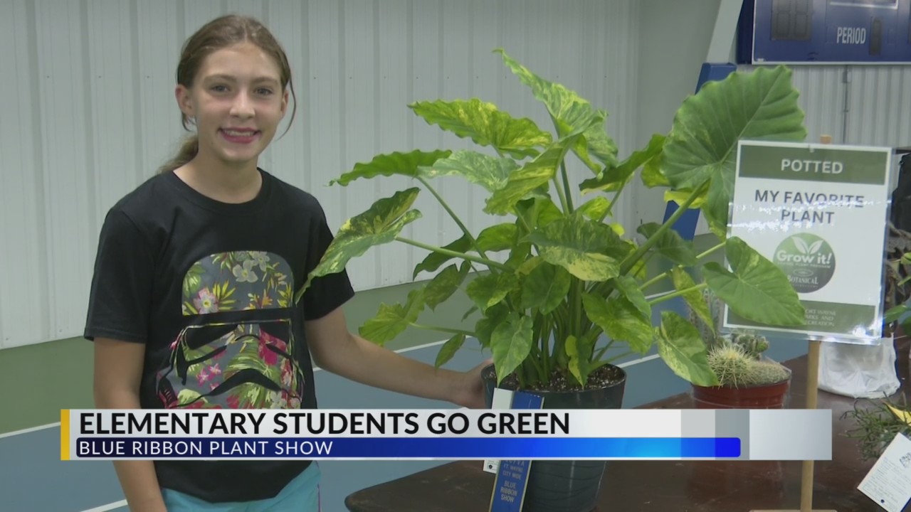 Elementary students go green at Blue Ribbon Plant Show