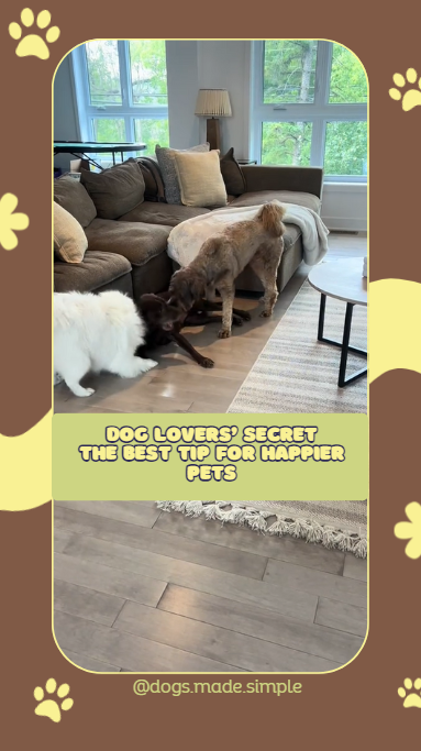 Dog Lovers’ Secret The Best Tip for Happier Pets
