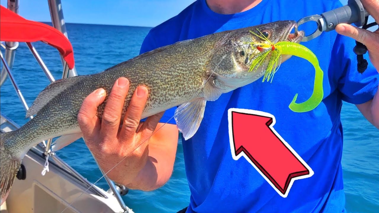 How to Catch a Musky – Pro Fishing Tips